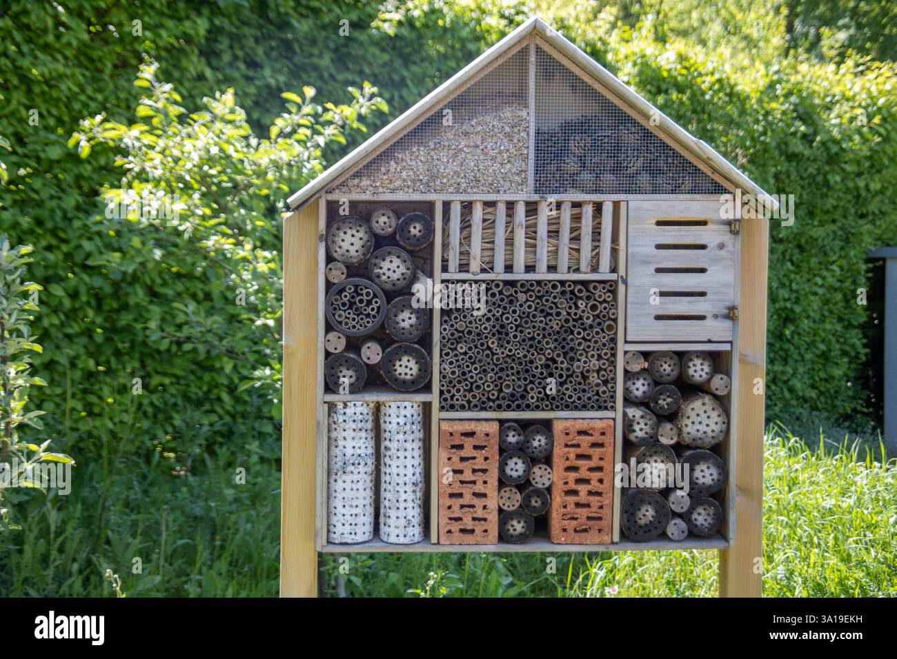 Wooden insect hotel for brood care Stock Photo - Alamy