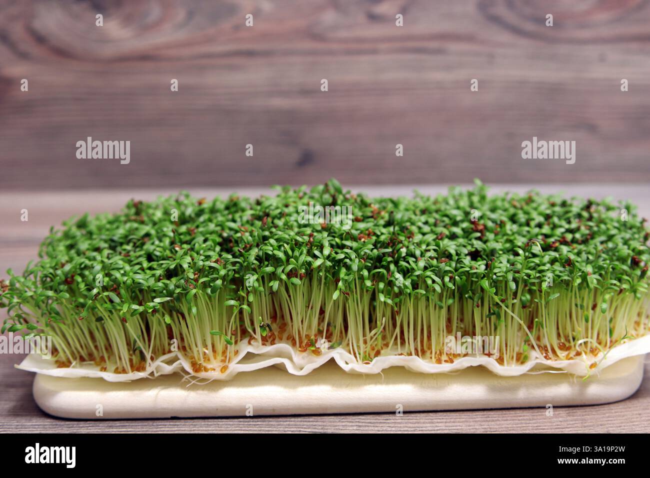 Fresh aromas hi-res stock photography and images - Alamy