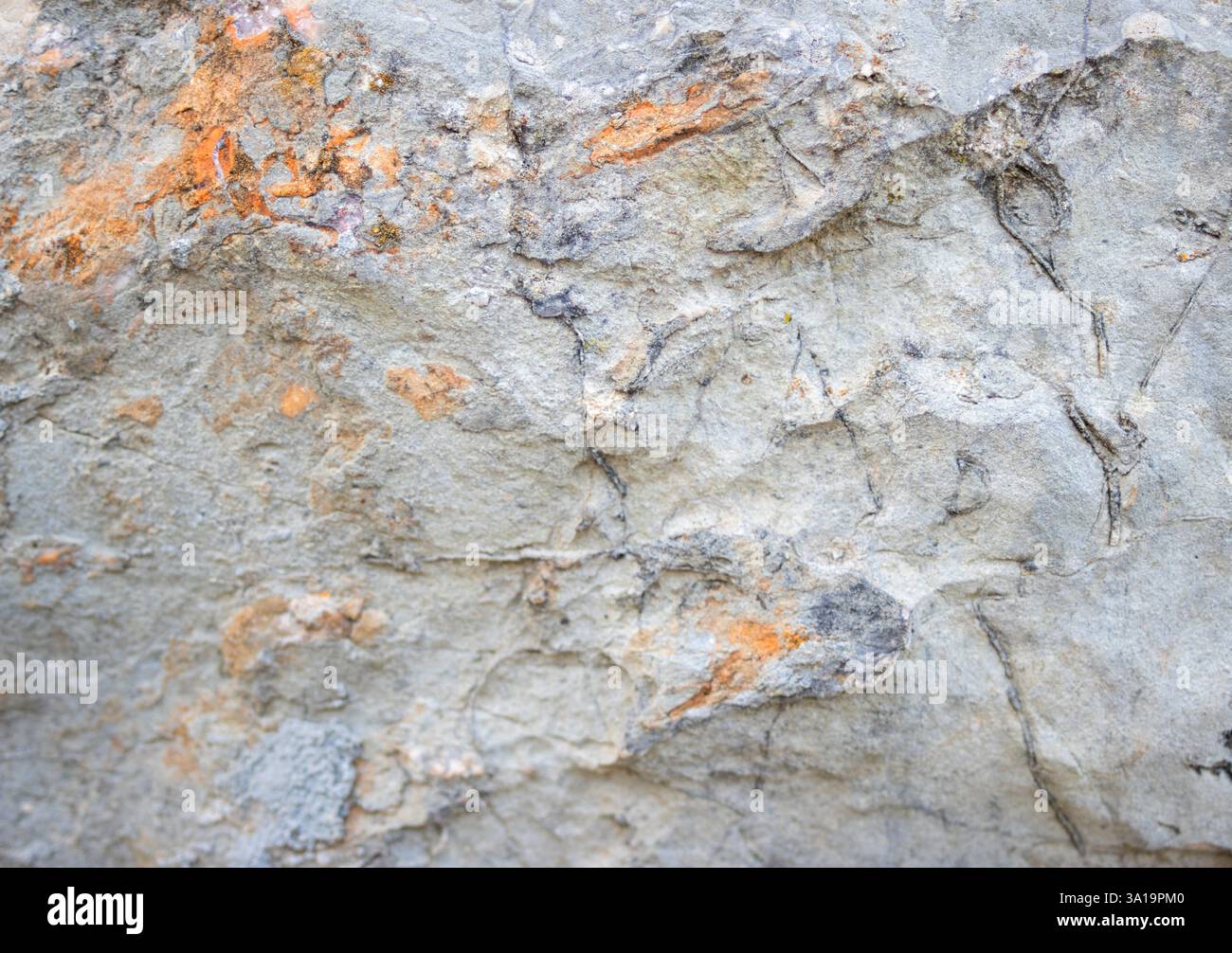 Abstract horizontal wallpaper of stone with texture in rust tones ...