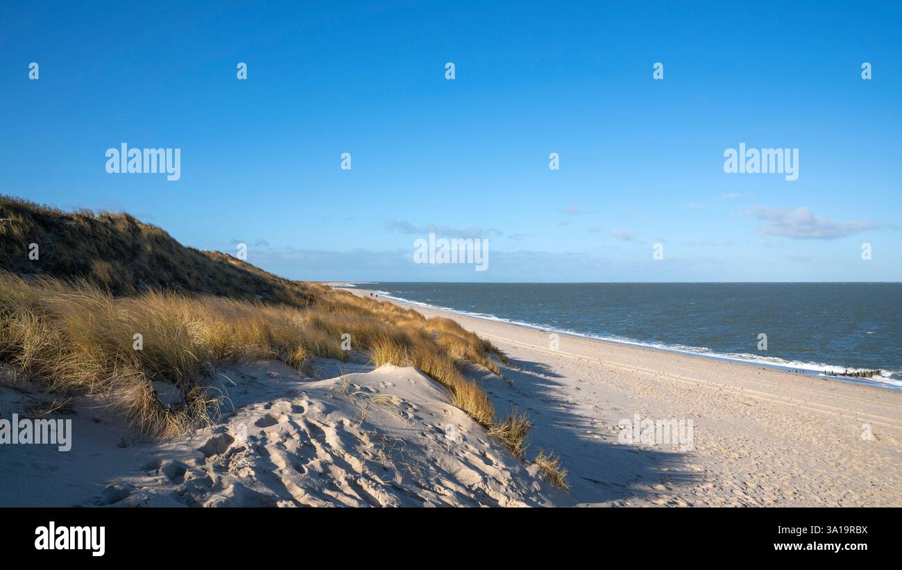 Panoramic image of the landscape along beach of Sylt, North Frisia ...