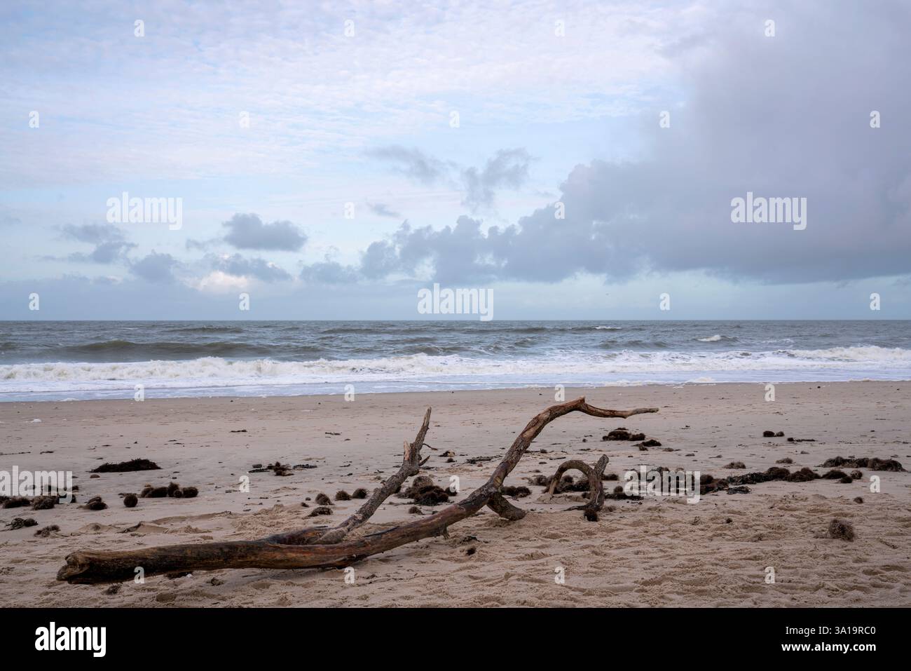 Panoramic image of the landscape along beach of Sylt, North Frisia ...