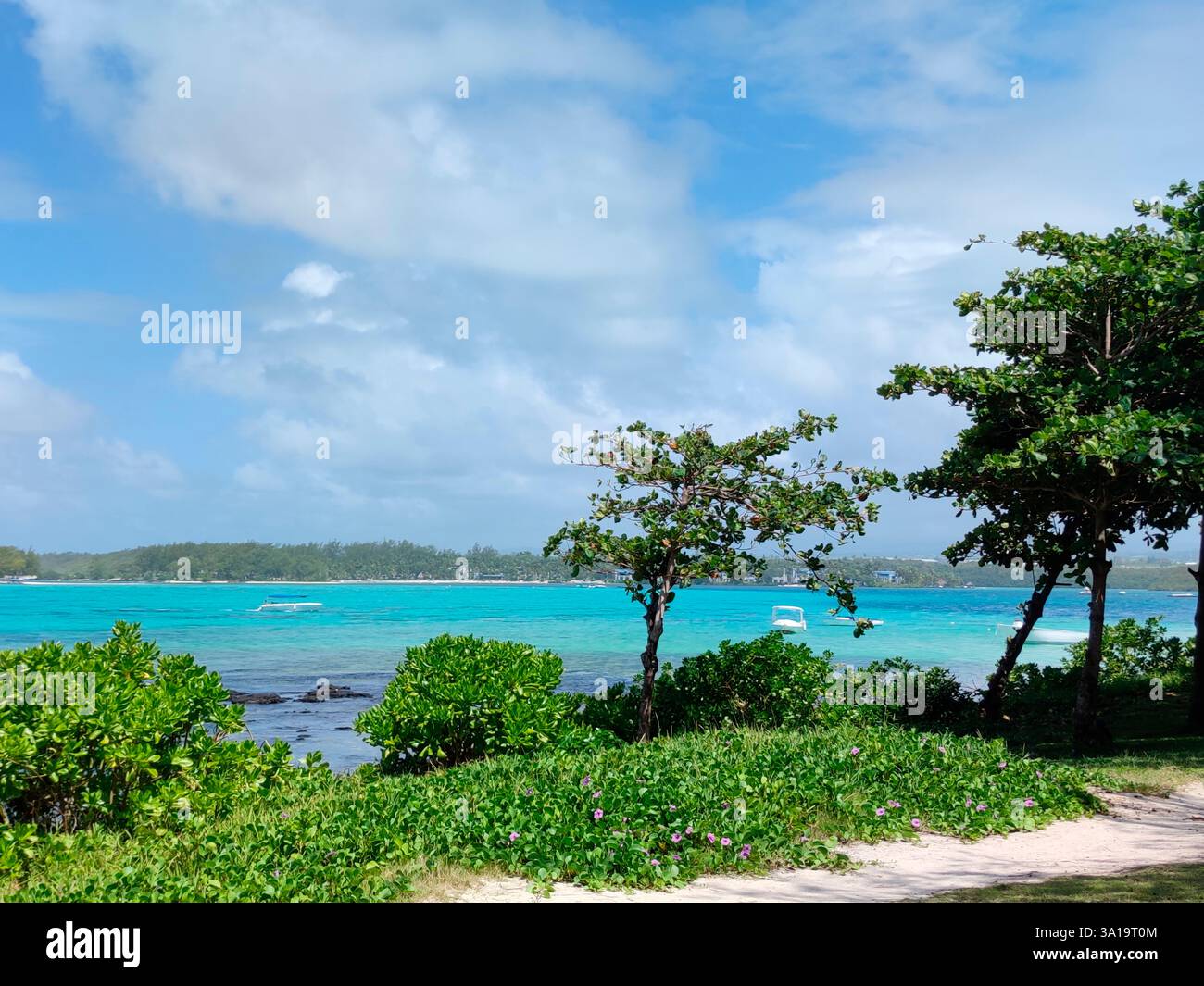 Green mauritius hi-res stock photography and images - Alamy