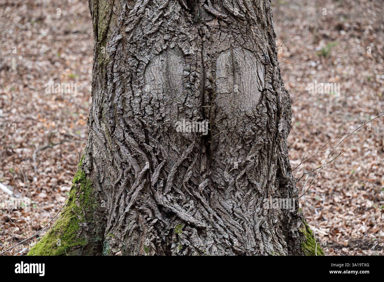 Buttocks hi-res stock photography and images - Alamy