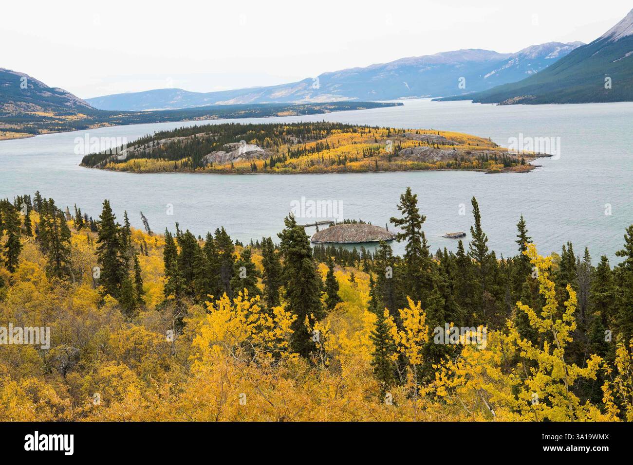 Bove Island in Lake Windy Arm in the fall - Yukon, Canada Stock Photo ...