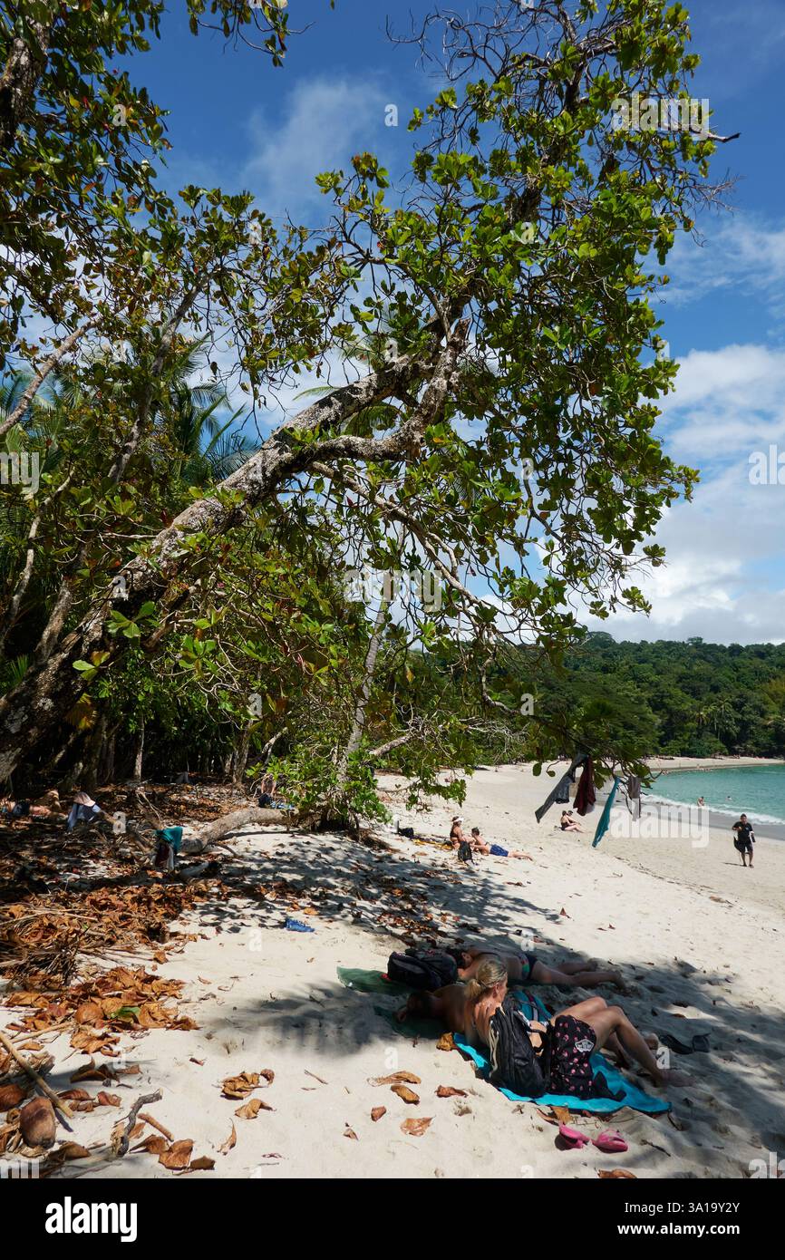 Puntarenas, Costa Rica - November 22, 2024 - beautiful tropical beach ...