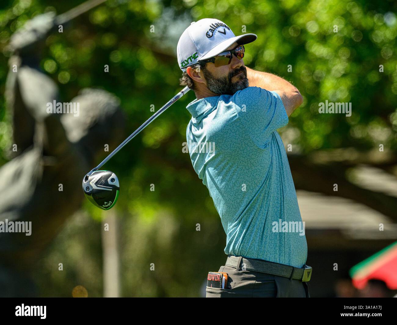 2025 _0481 hi-res stock photography and images - Alamy