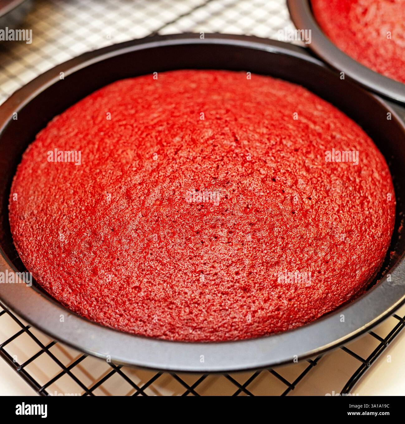 Sponge cake for red velvet cake preparation Stock Photo - Alamy