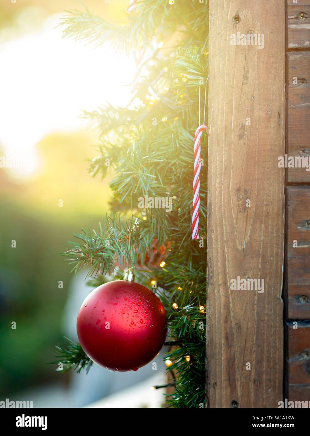 Christmas decoration with red ball, candy cane and blurred lights ...