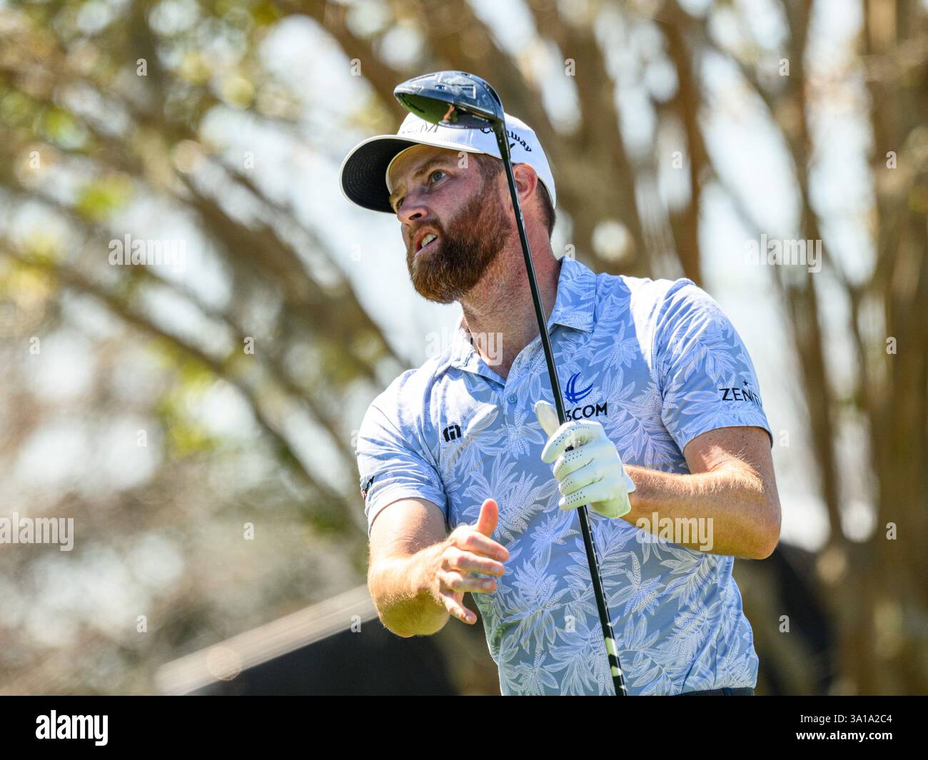 2025 _0116 jpg hi-res stock photography and images - Alamy