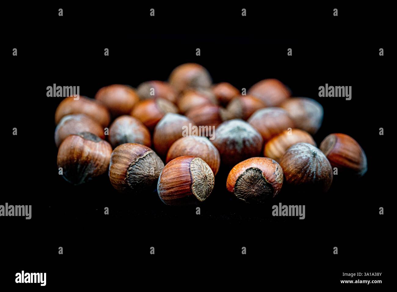 American hazelnut shrub hi-res stock photography and images - Alamy