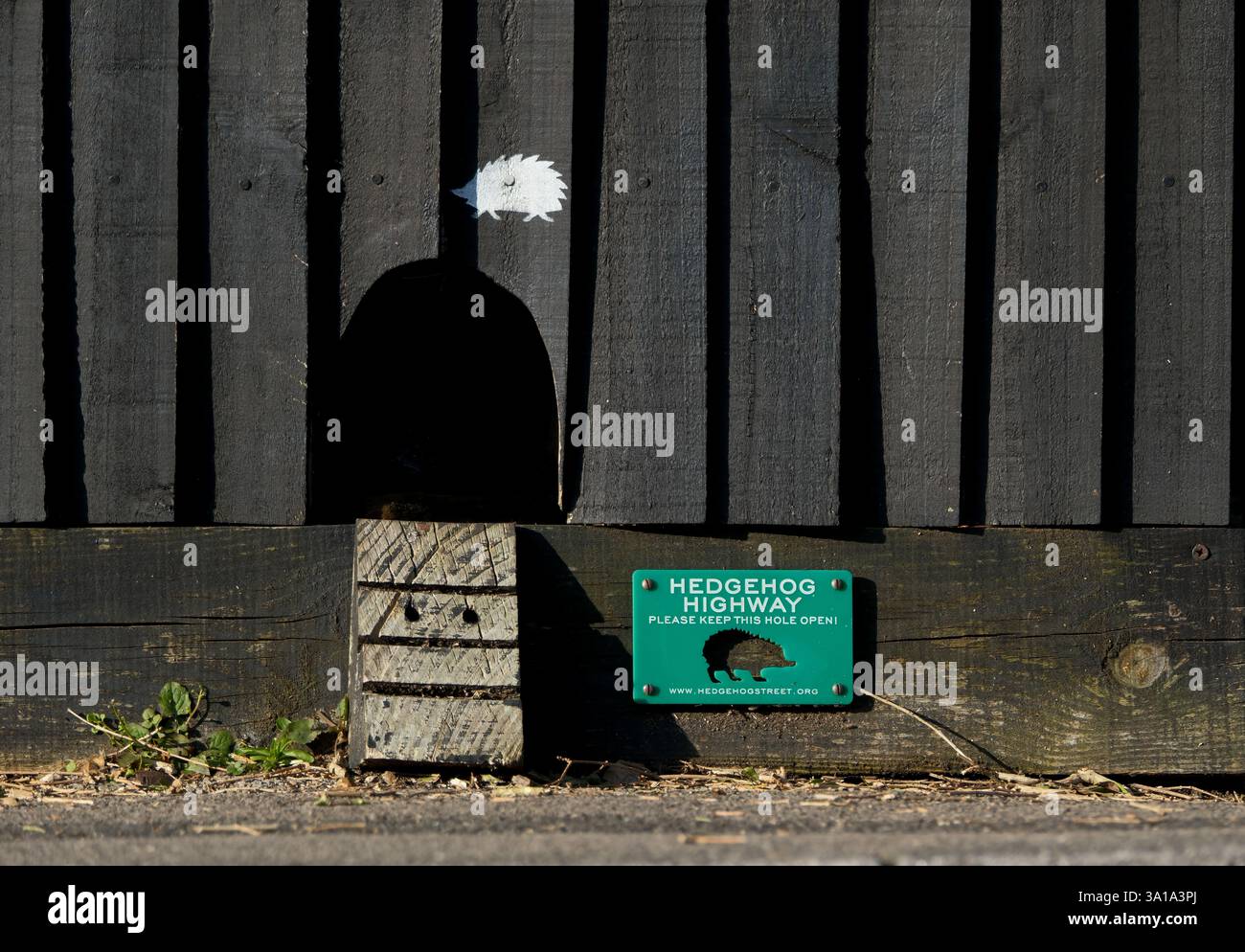 A Hedgehog highway hole and ramp made in a garden fence in Romsey ...