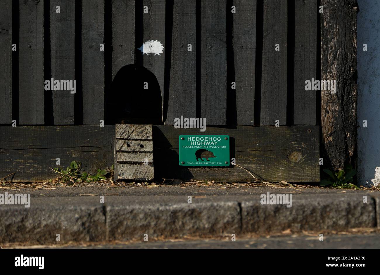 A Hedgehog highway hole and ramp made in a garden fence in Romsey ...
