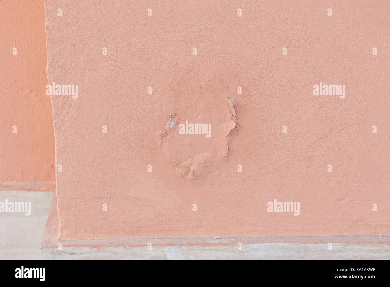 The house wall is being damaged by rising damp, leading to peeling ...