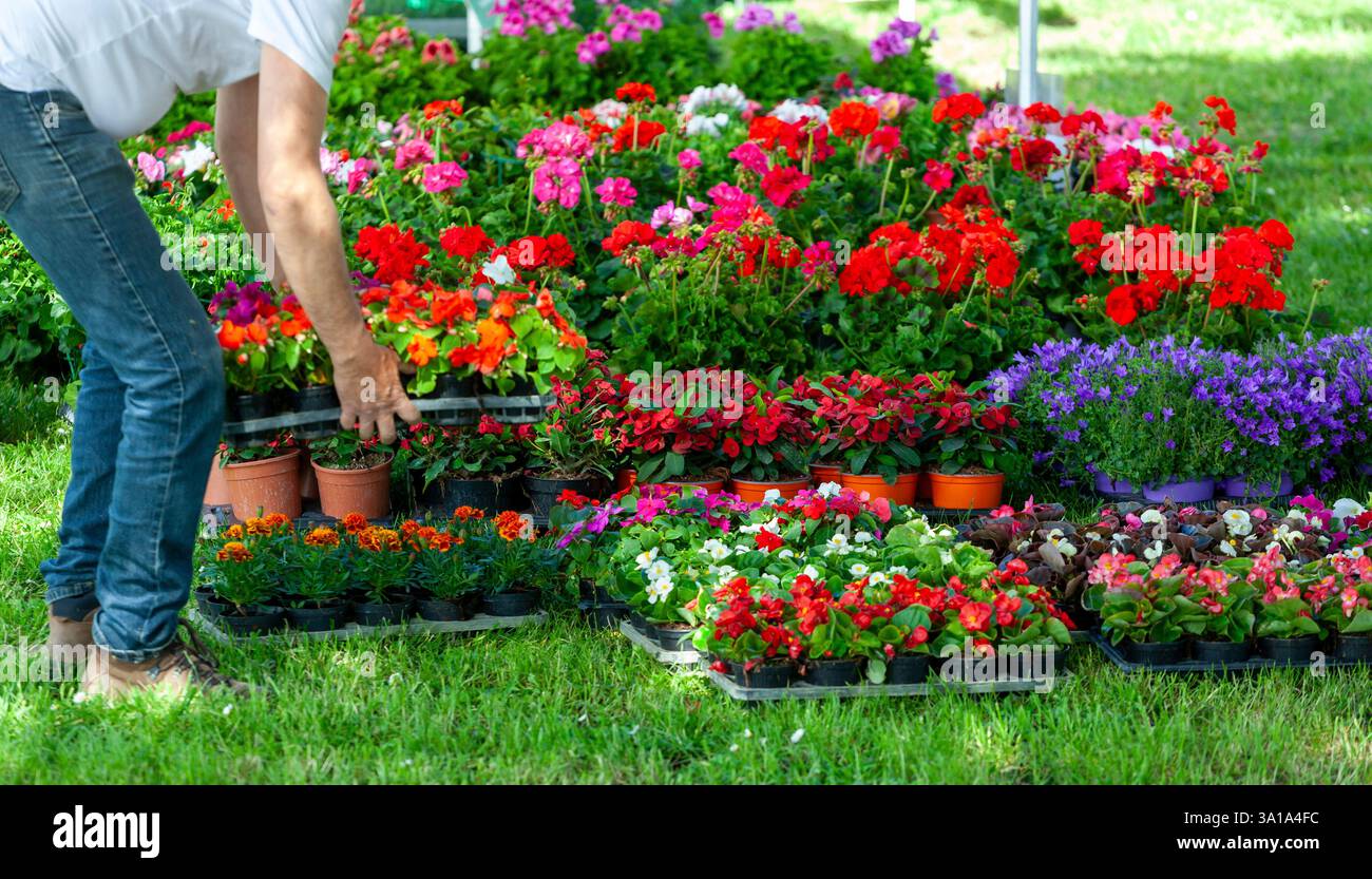 Plants flowers on display hi-res stock photography and images - Alamy