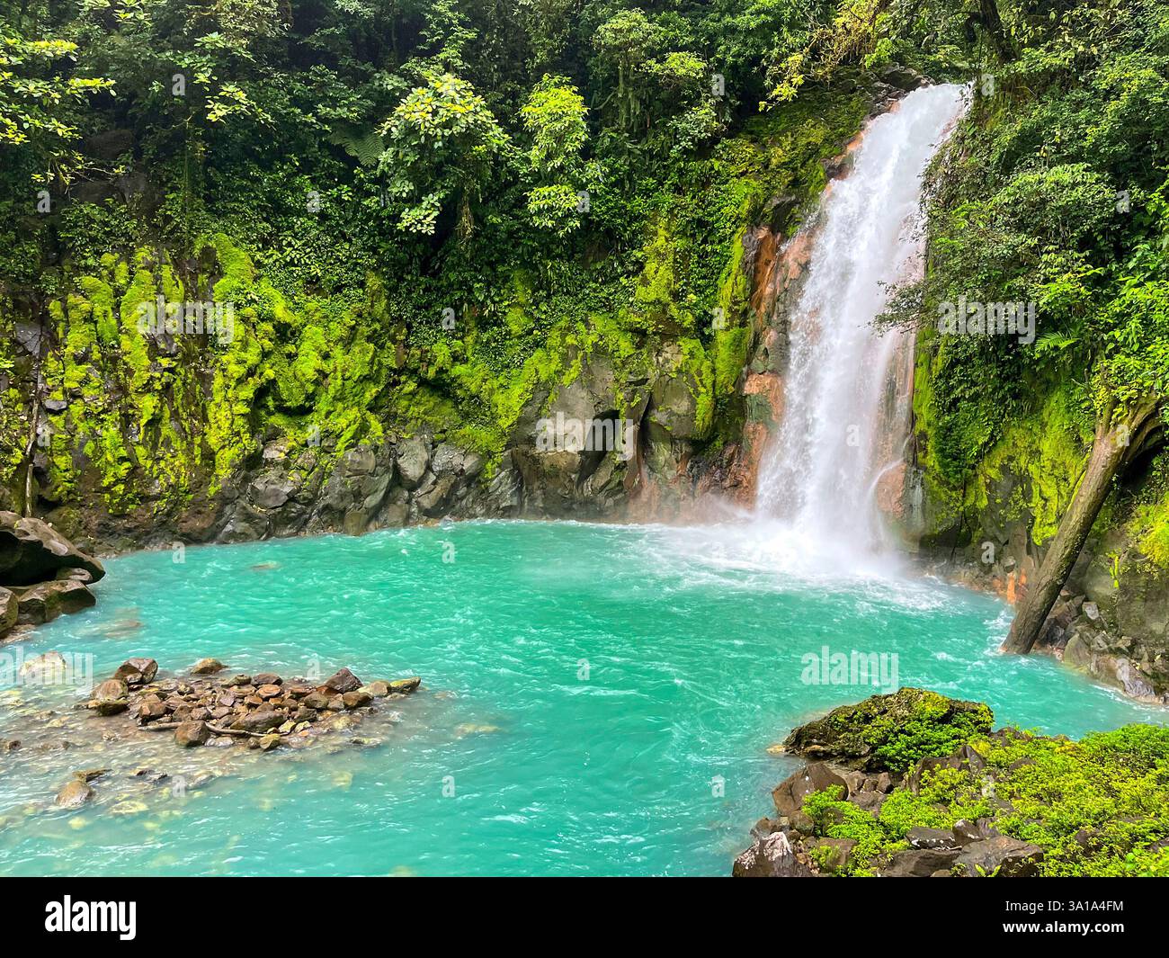 Majestic waterfall in the rainforest jungle of Costa Rica. Tropical ...