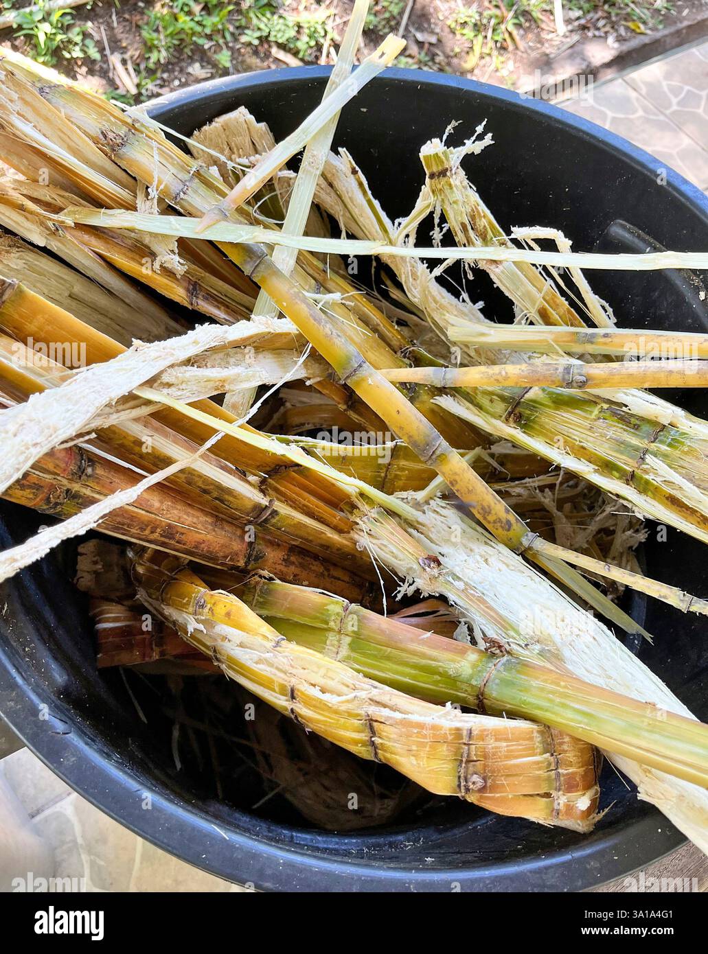 Sugar cane manufacturing process in Costa Rica Stock Photo - Alamy
