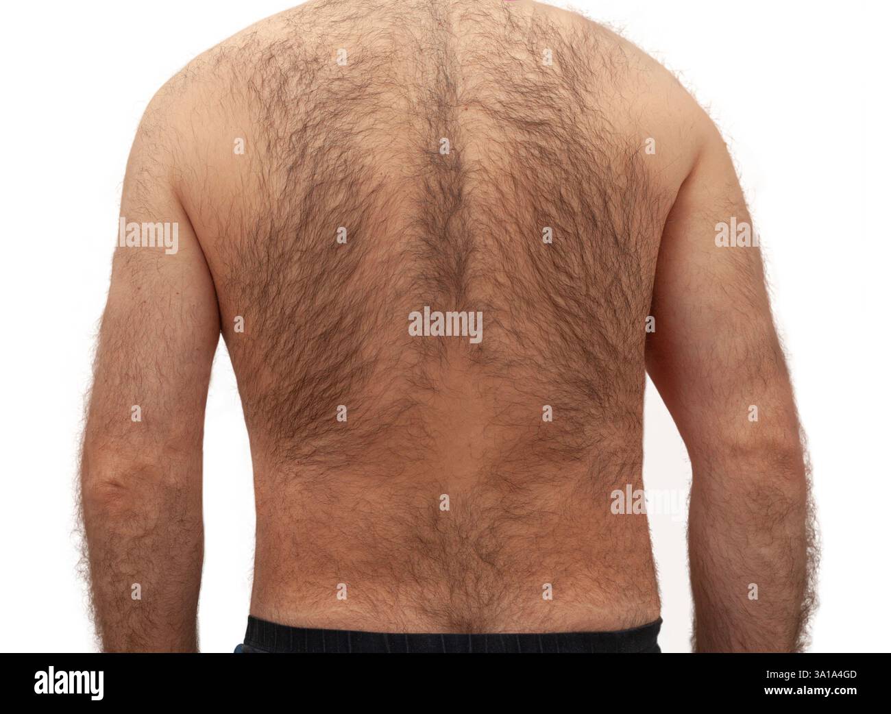 Hairy back of a young man isolated on white background Stock Photo - Alamy