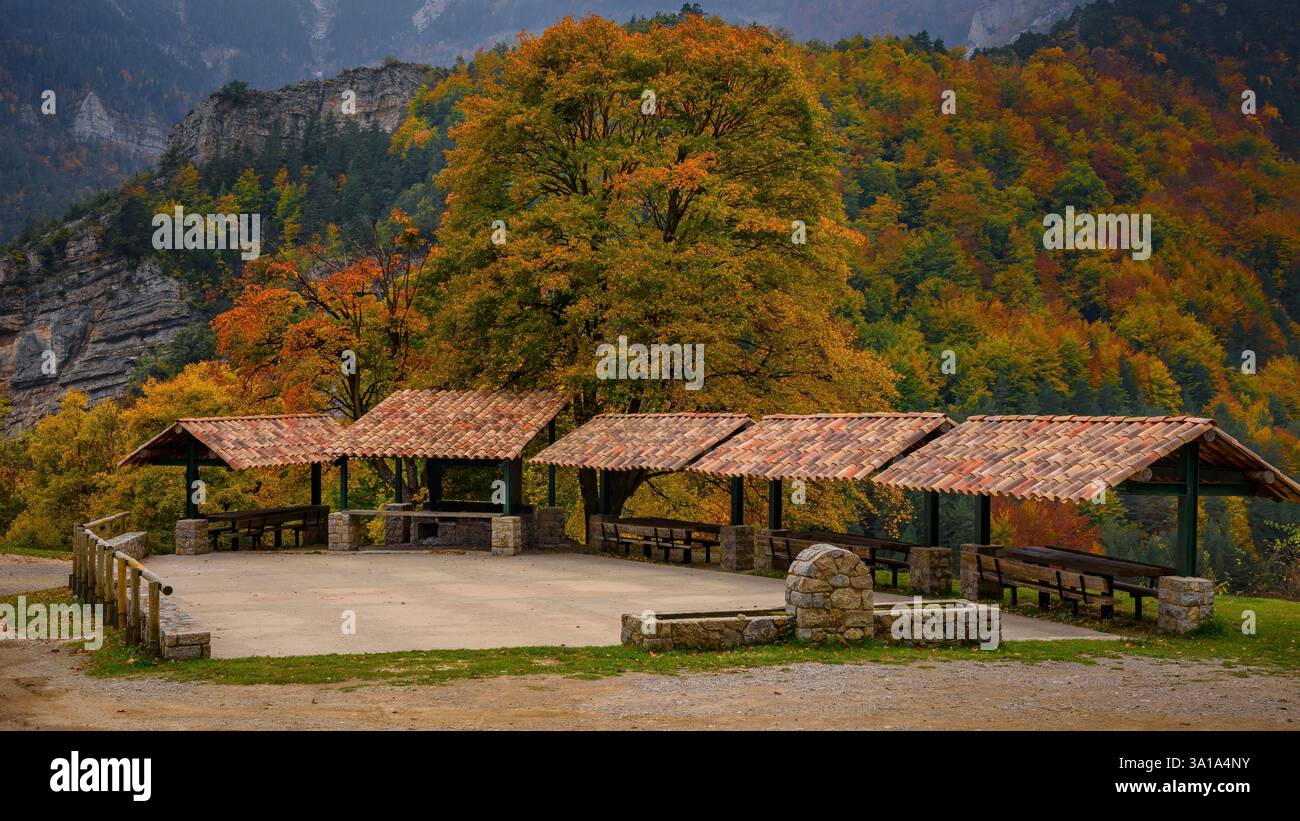 Gresolet valley and beech forest in autumn, under the Pedraforca massif ...
