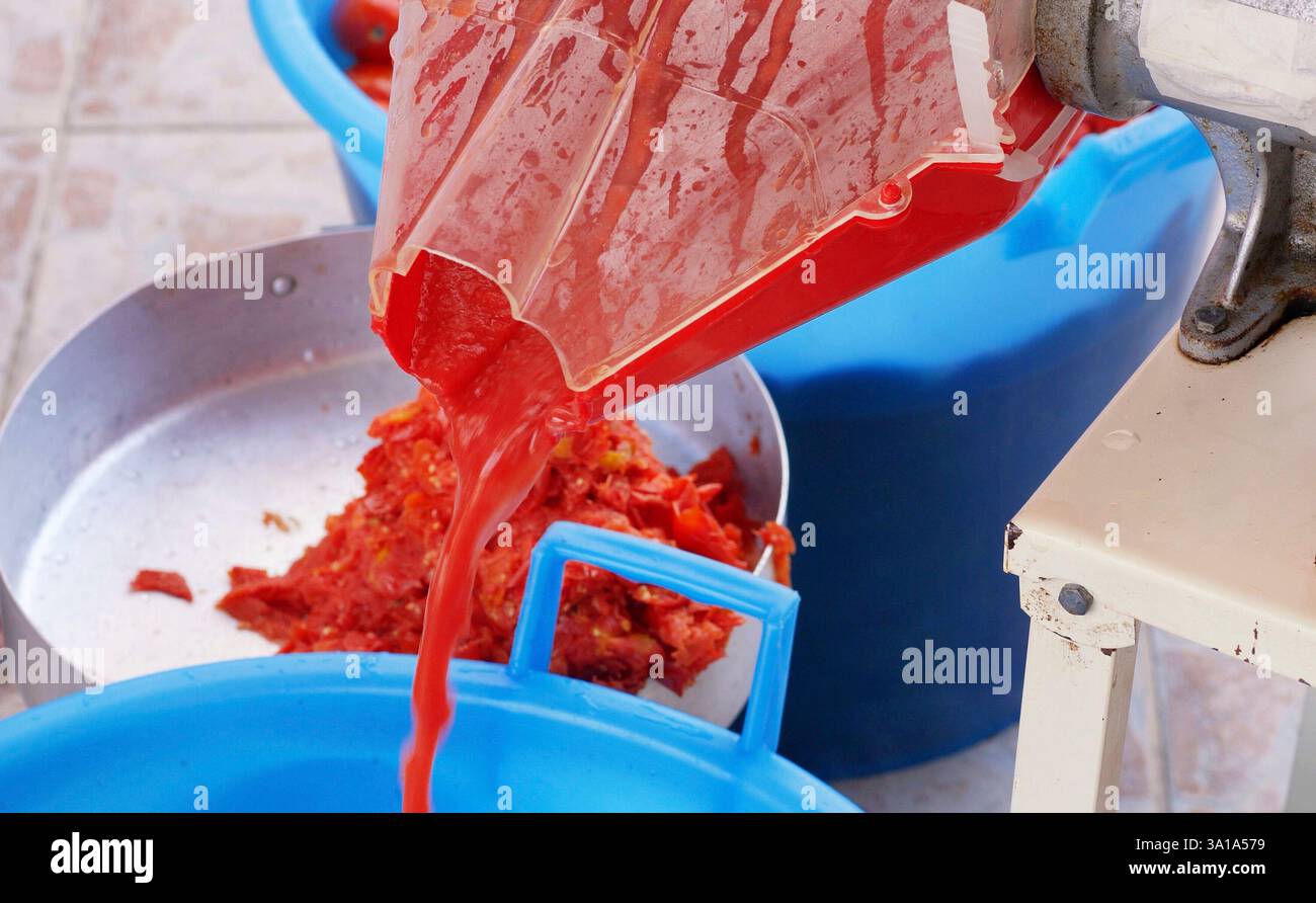 Italian tradition, homemade tomato puree production. Each year families ...