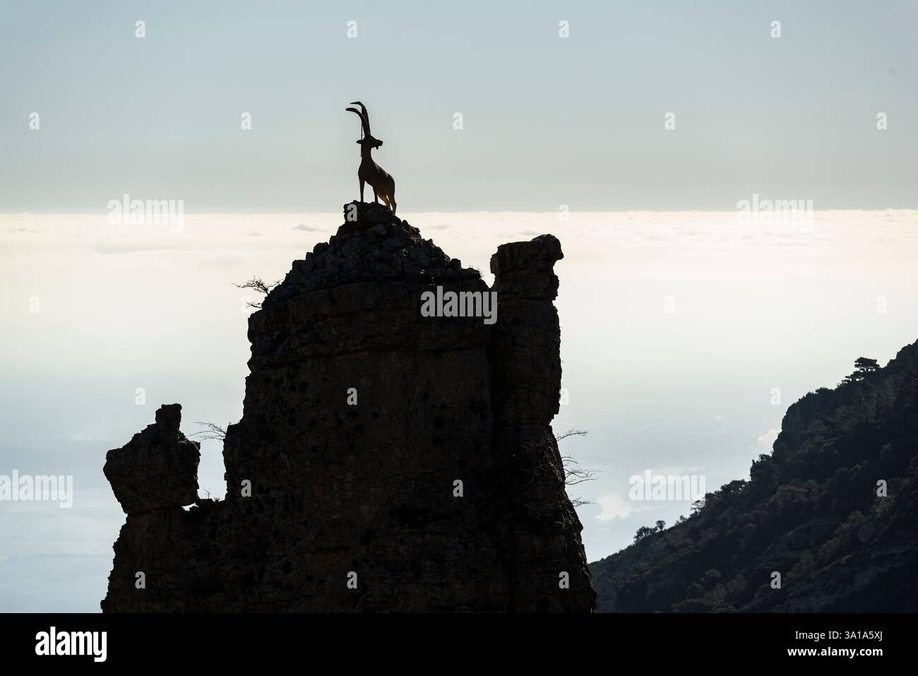 Monument a la Cabra Salvatge (Capra pyrenaica) Iberian ibex monument ...