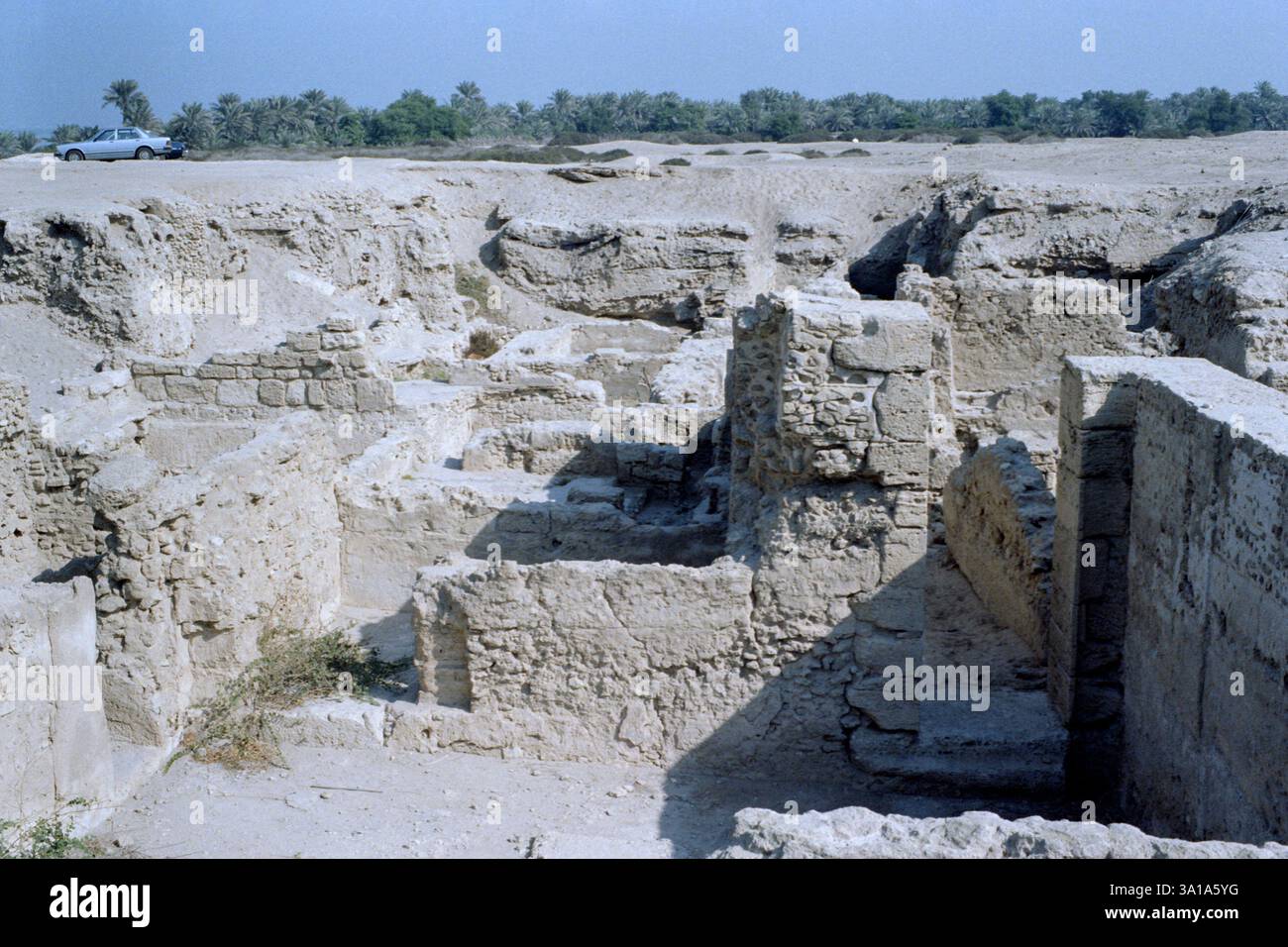 Archaeological excavations at Qal’at al-Bahrain near the Portuguese ...