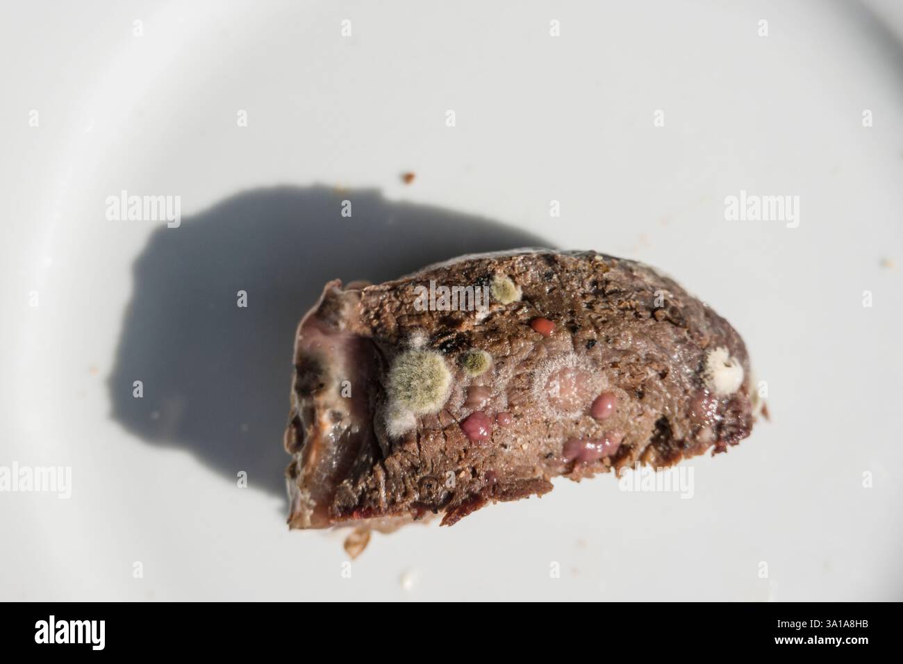 Extreme close up mold hi-res stock photography and images - Alamy