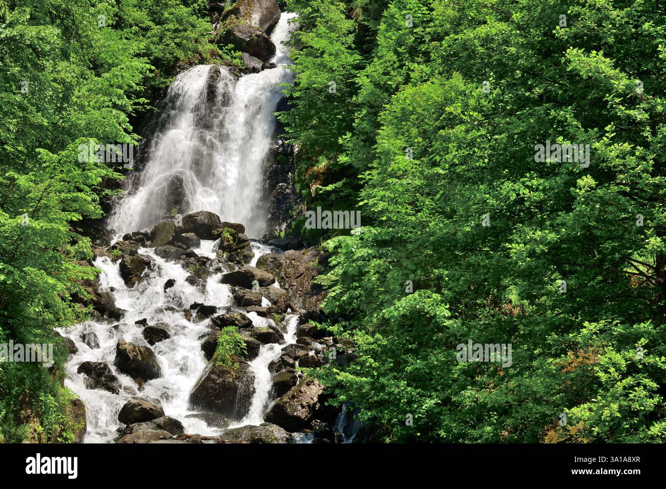 Milk waterfall in Gudauta region of an Abkhazia, Vodopadnaya river ...
