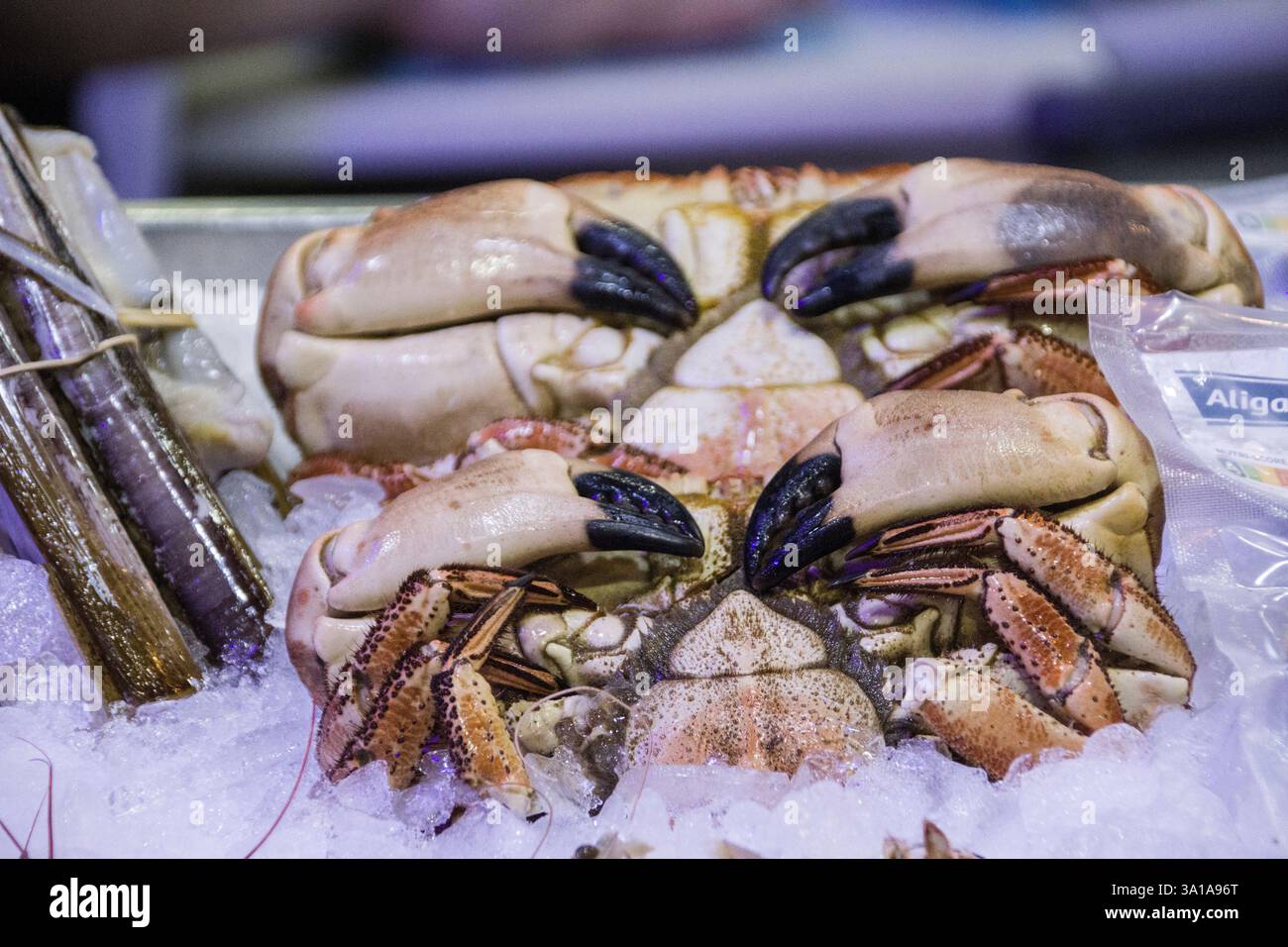 Crustaceans in the refrigerated counter at mercado nuestra de africa hi ...