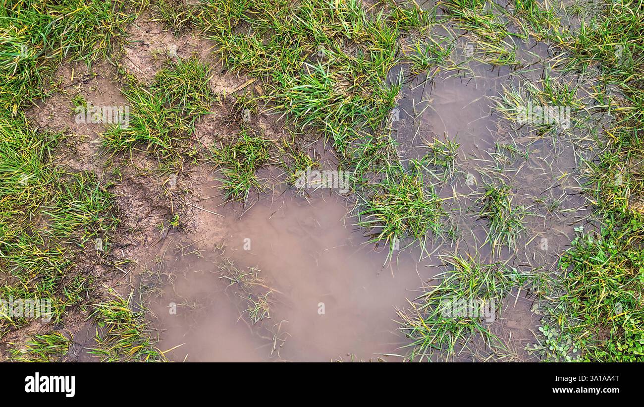 Rain continuous rain hi-res stock photography and images - Alamy
