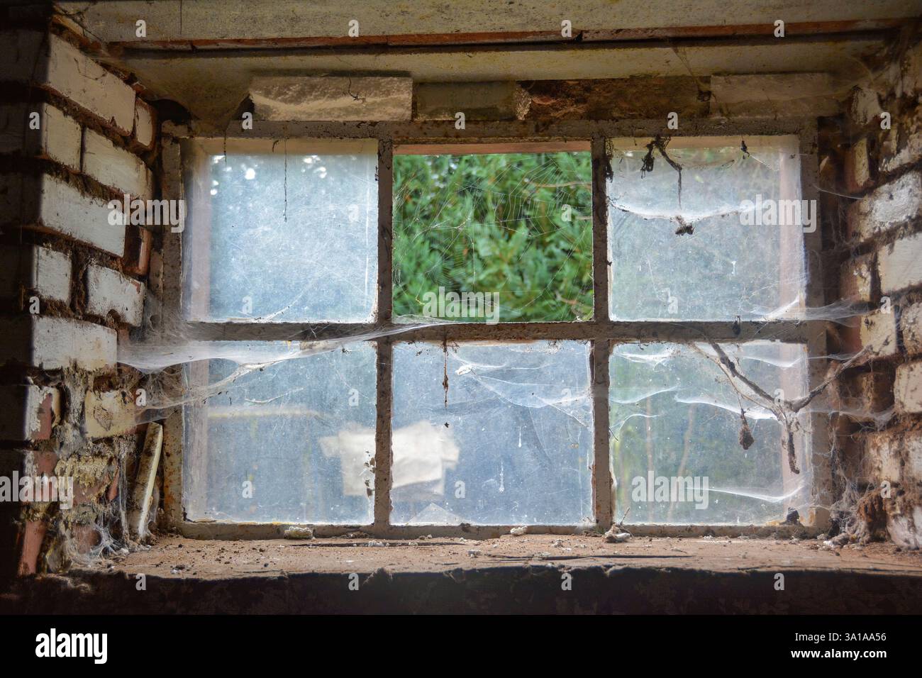 Old cellar window with spider webs, view outside and a missing pane of ...