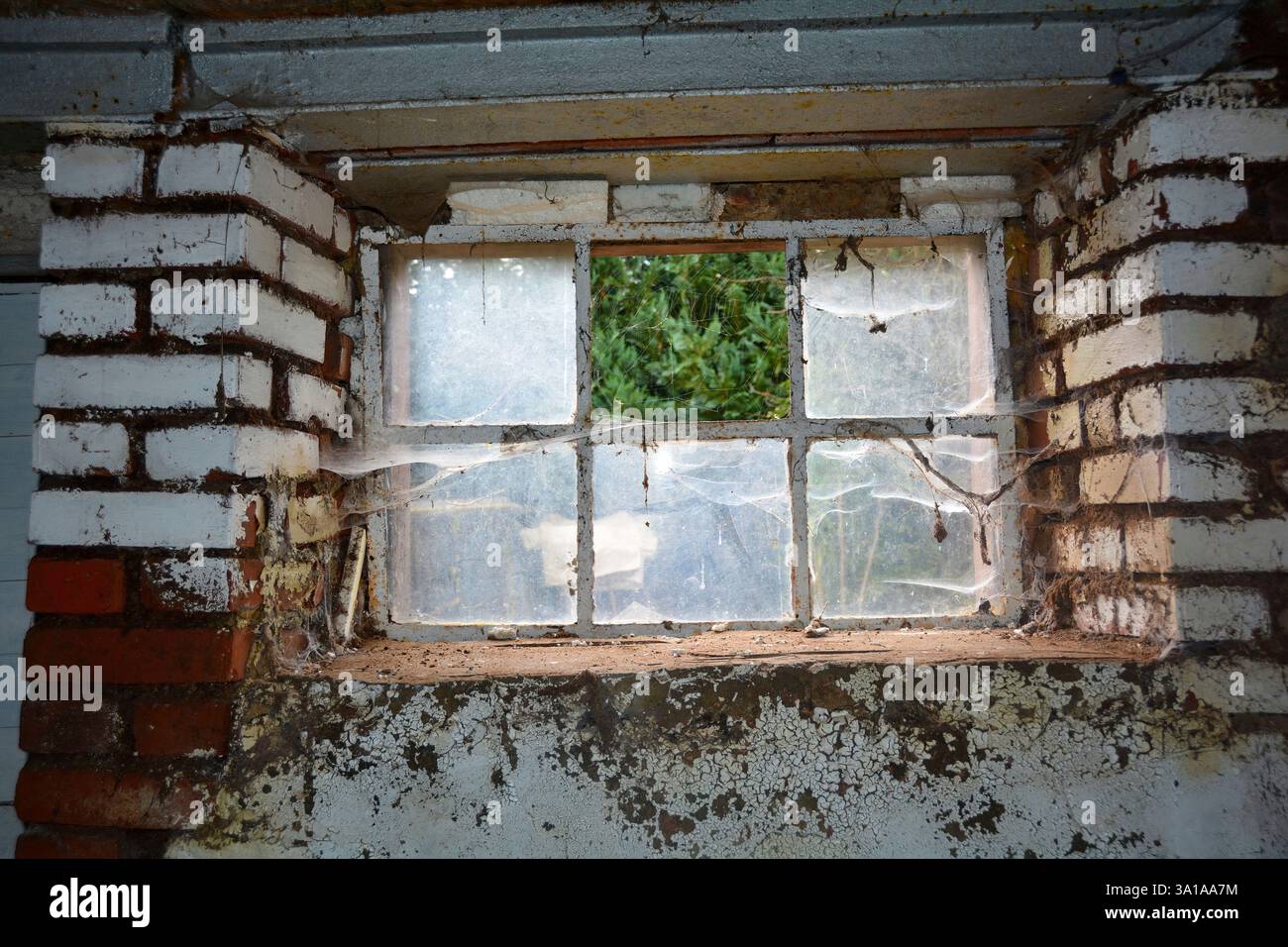 Old cellar window with spider webs, view outside and a missing pane of ...