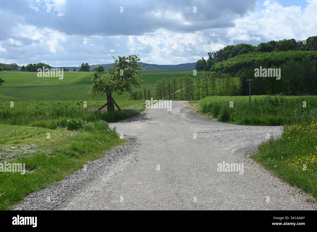 Green landscape narrow road hi-res stock photography and images - Alamy