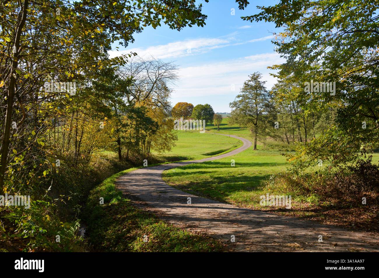 Track through meadows bavaria hi-res stock photography and images - Alamy