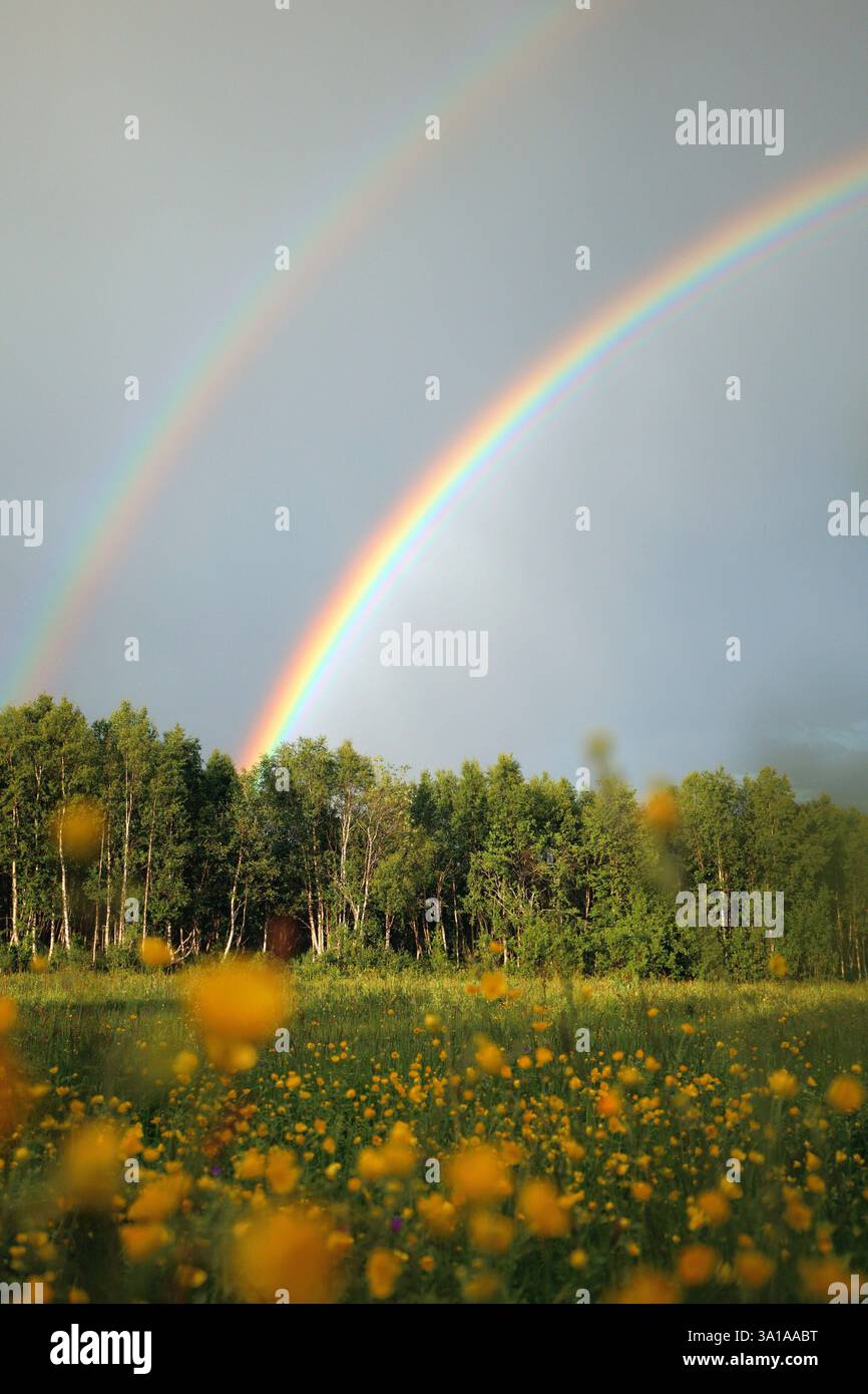Rainbow over green light hi-res stock photography and images - Alamy