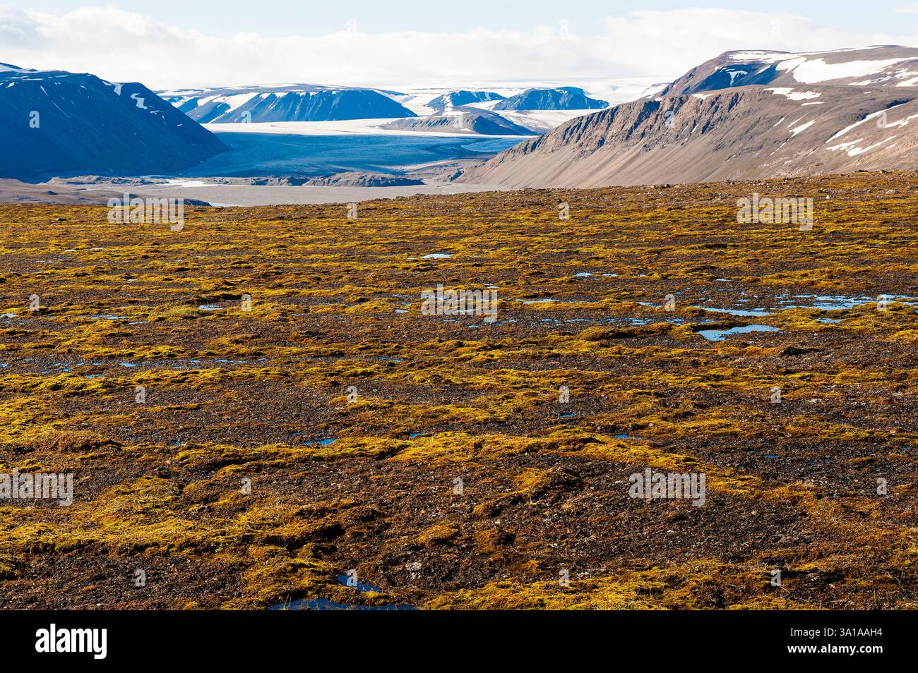 Colorful tundra landscape on Spitsbergen Stock Photo - Alamy