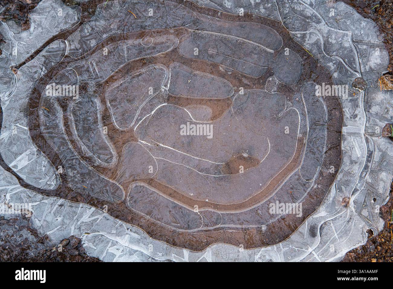 Structures in the ice above a frozen puddle Stock Photo - Alamy