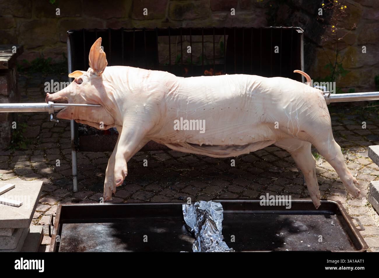 Fresh suckling pig on a spit over the grill Stock Photo - Alamy
