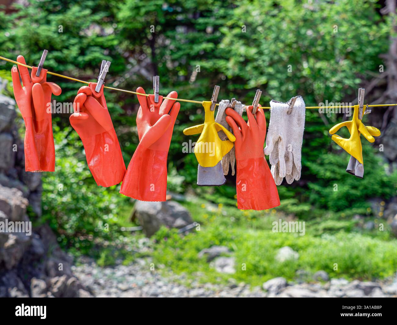 Newfoundland fisher hi-res stock photography and images - Alamy
