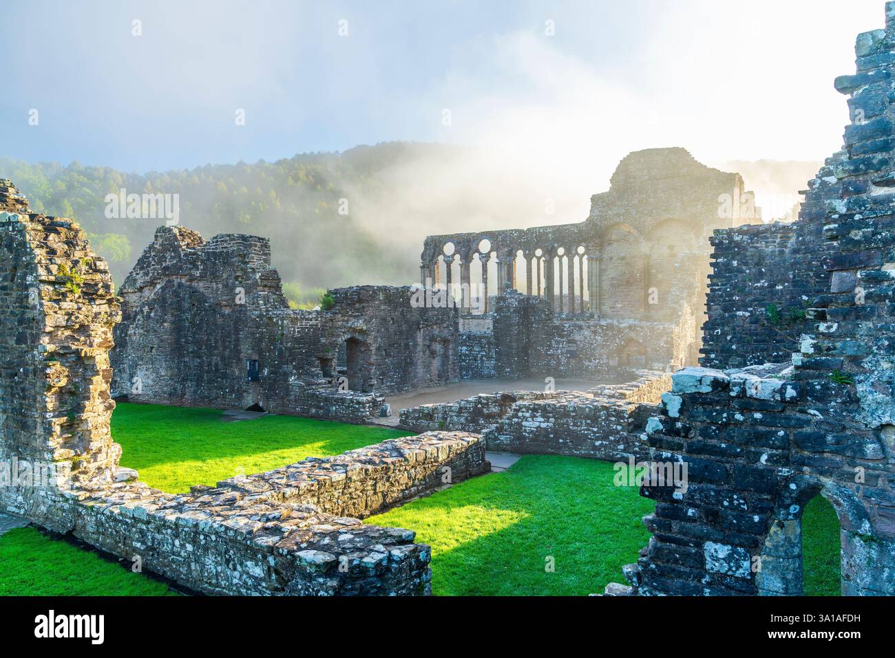 Tintern Abbey, Monmouthshire, Wales, United Kingdom, Europe Stock Photo ...