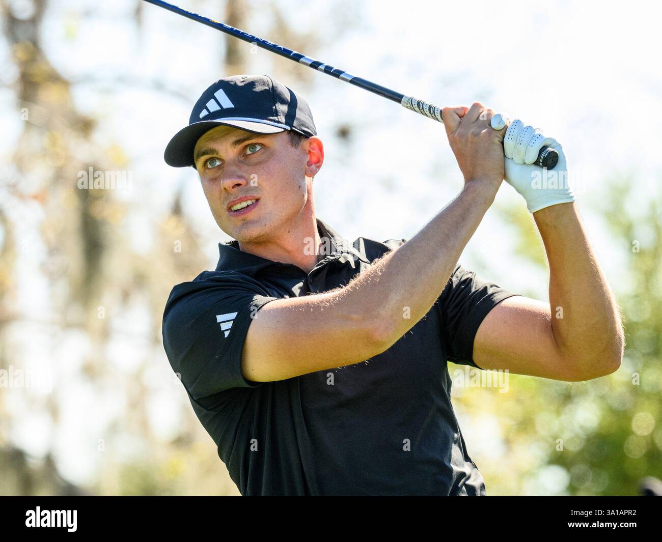 2025 _0960 jpg hi-res stock photography and images - Alamy