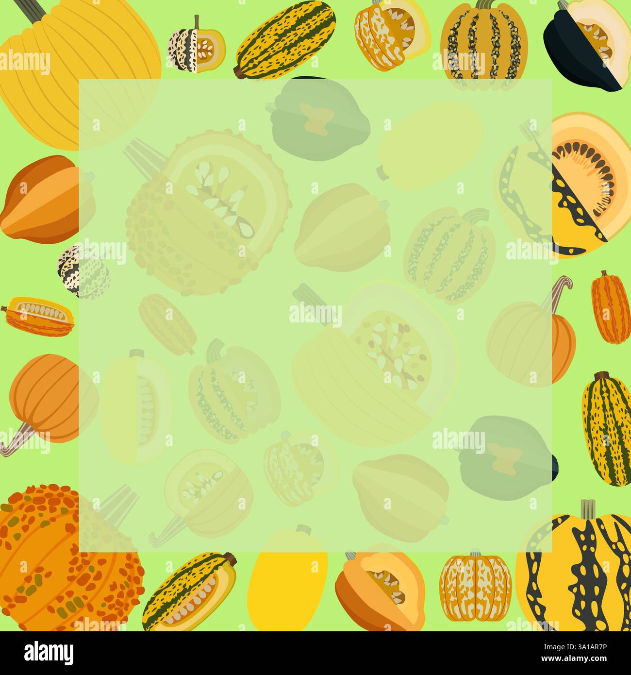 Square banner with types of winter squash. Cucurbita pepo ...