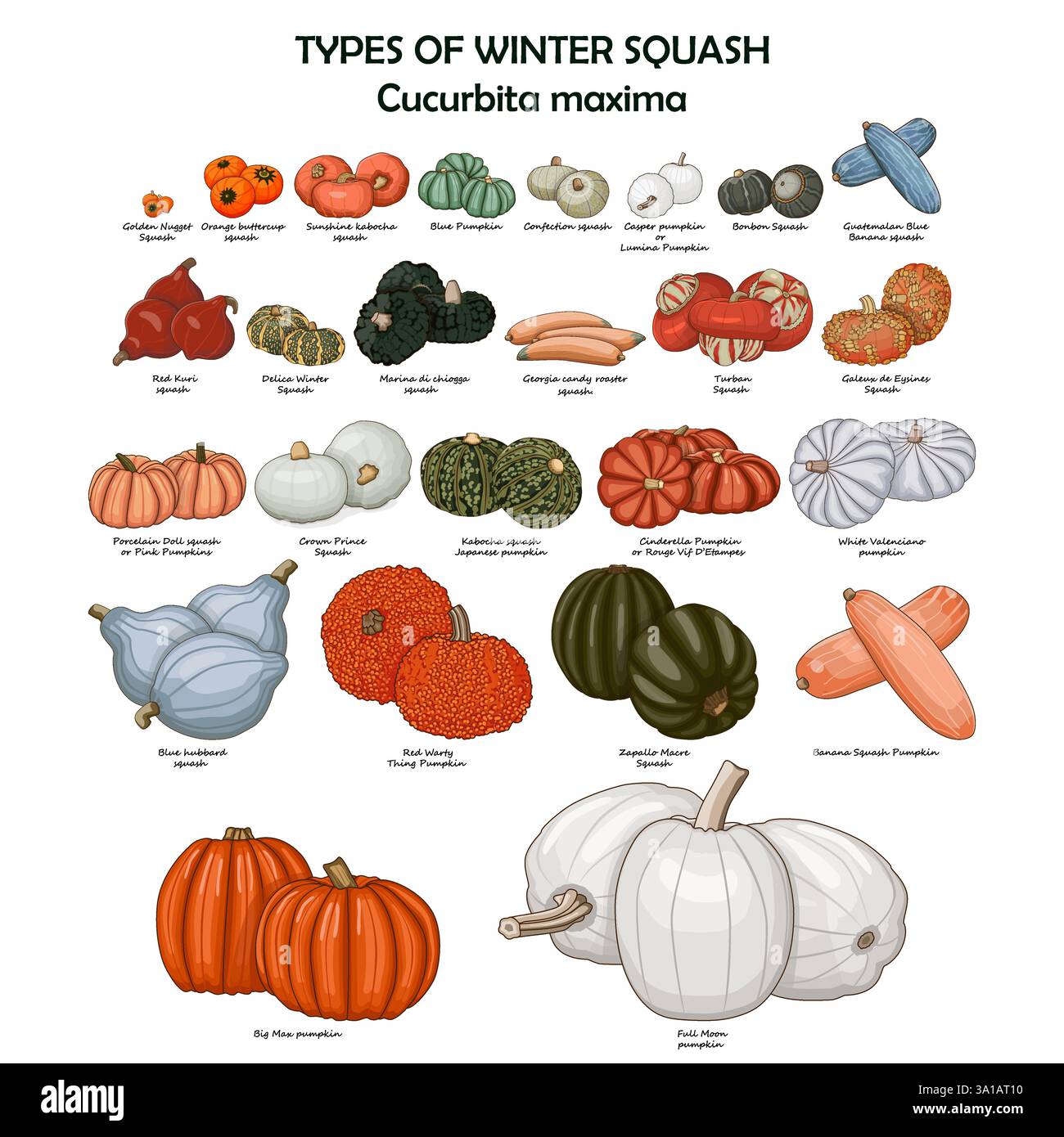 Clipart di clipart hi-res stock photography and images - Alamy