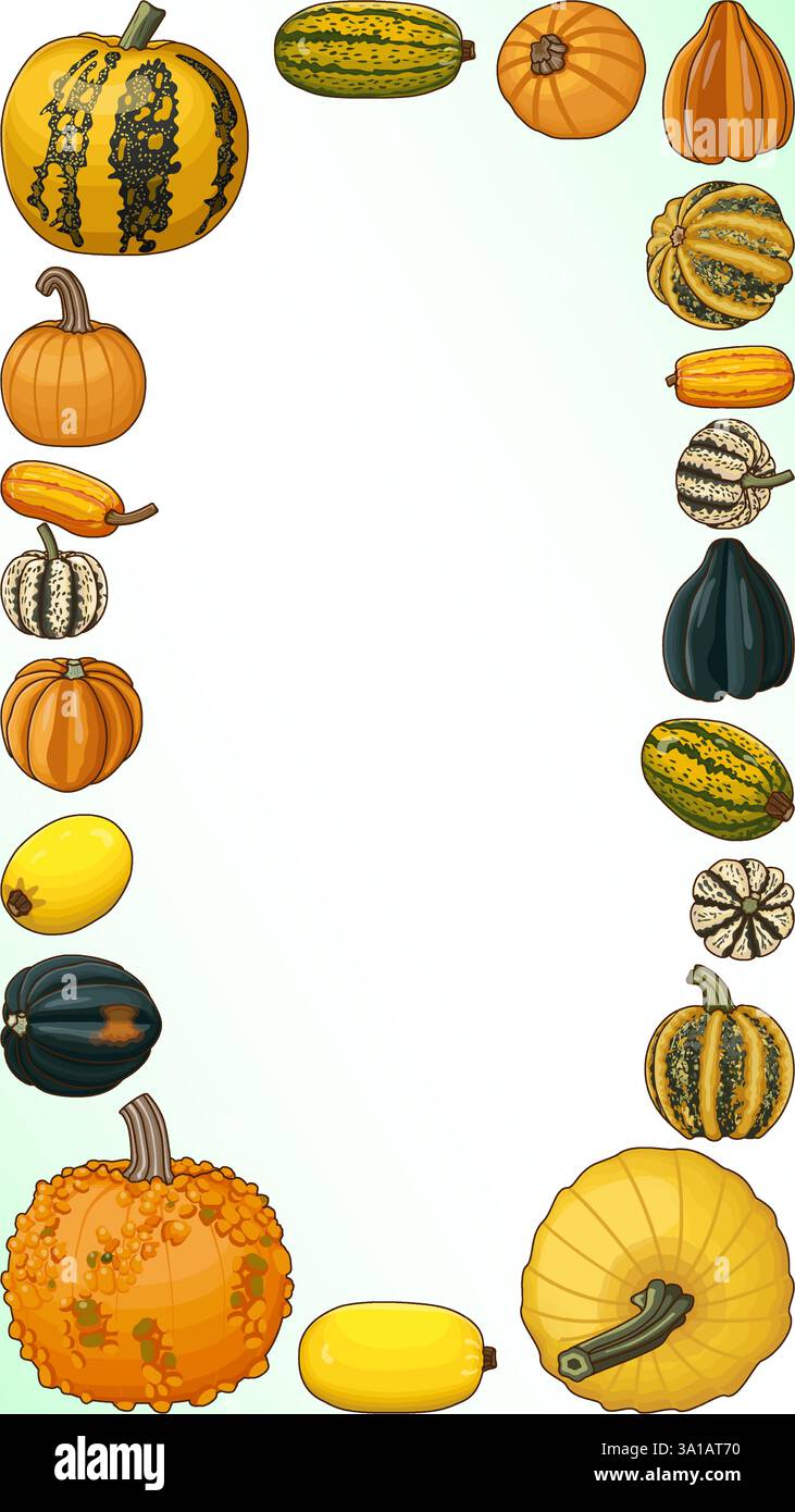 Vertical banner with types of winter squash. Cucurbita pepo ...