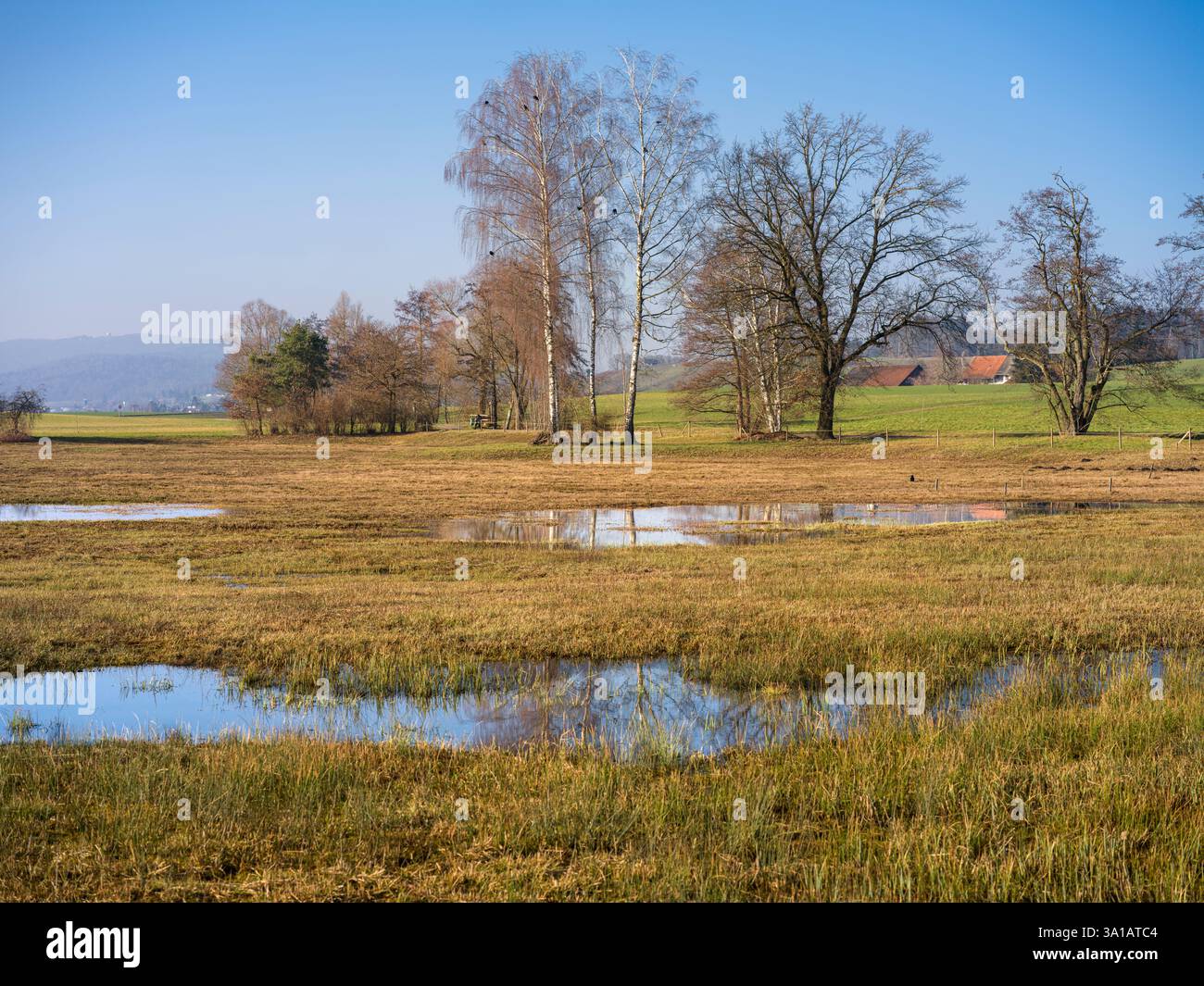 Switzerland, Katzensee nature reserve, landscape with rain ponds Stock ...