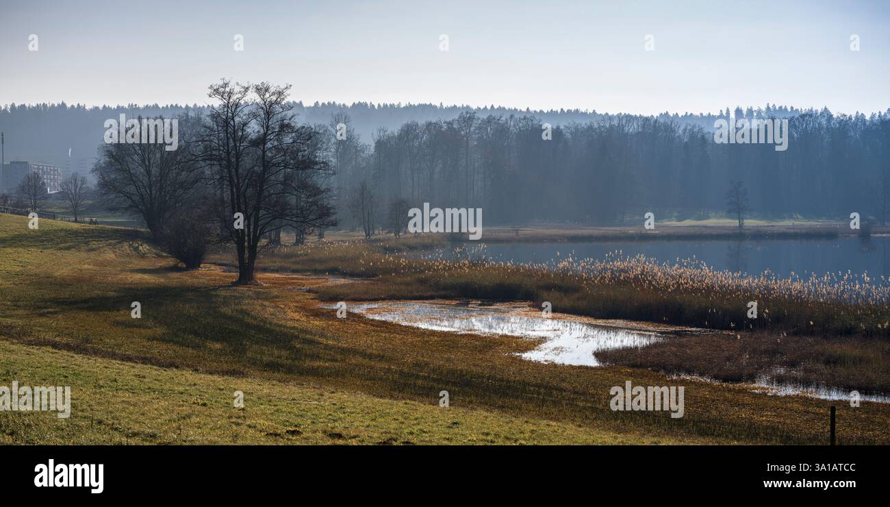 Switzerland, Katzensee nature reserve, landscape panorama Stock Photo ...