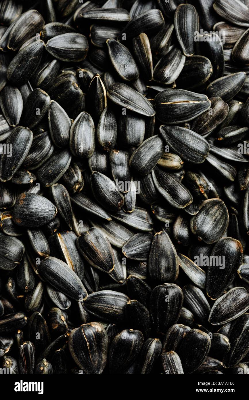 Roasted sunflower seeds, texture, food background Stock Photo - Alamy