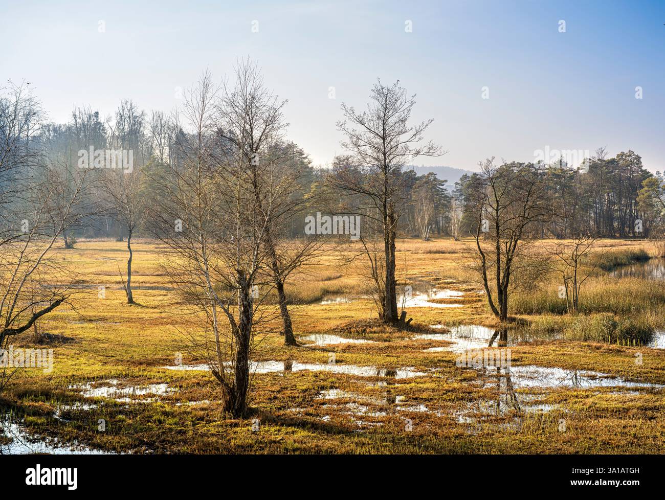 Switzerland, Katzensee nature reserve, landscape with rain ponds Stock ...
