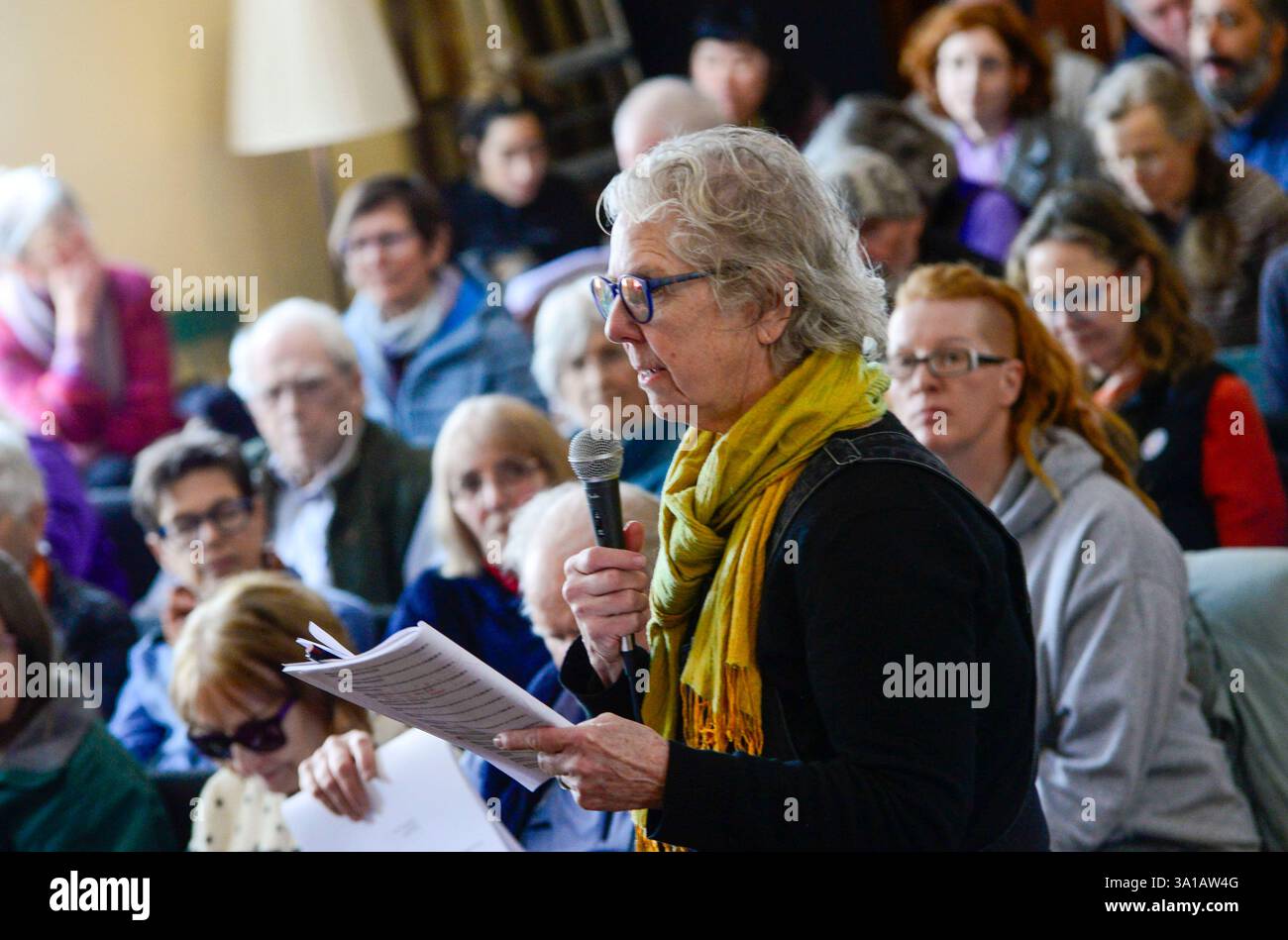 Patty Johnson, of Newfane, Vt., offers an amendment to Article 38 ...