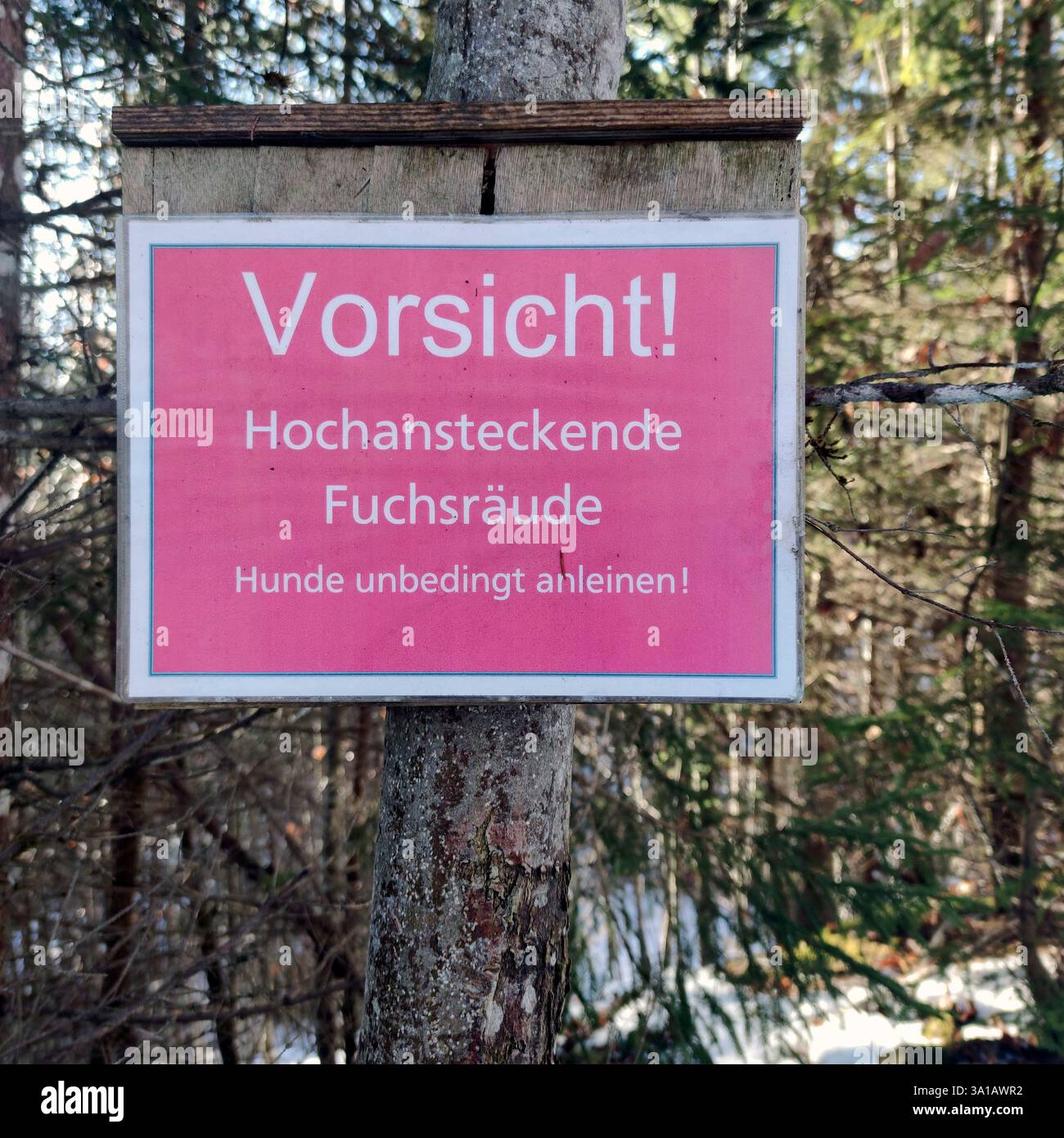 Warning sign for fox mange in the Upper Isar Valley Stock Photo - Alamy