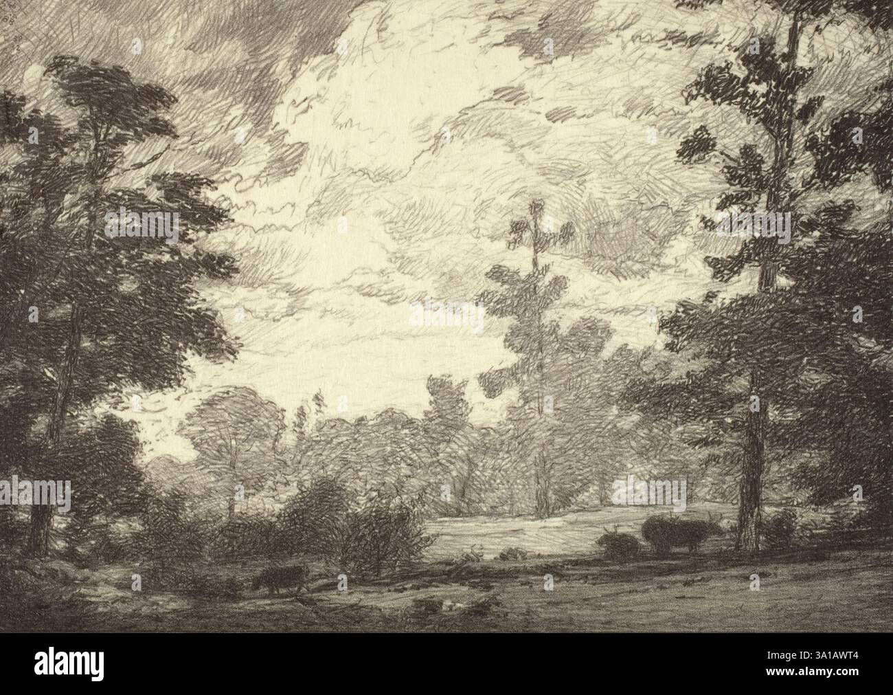 The Cow Lot, 1920s Stock Photo - Alamy